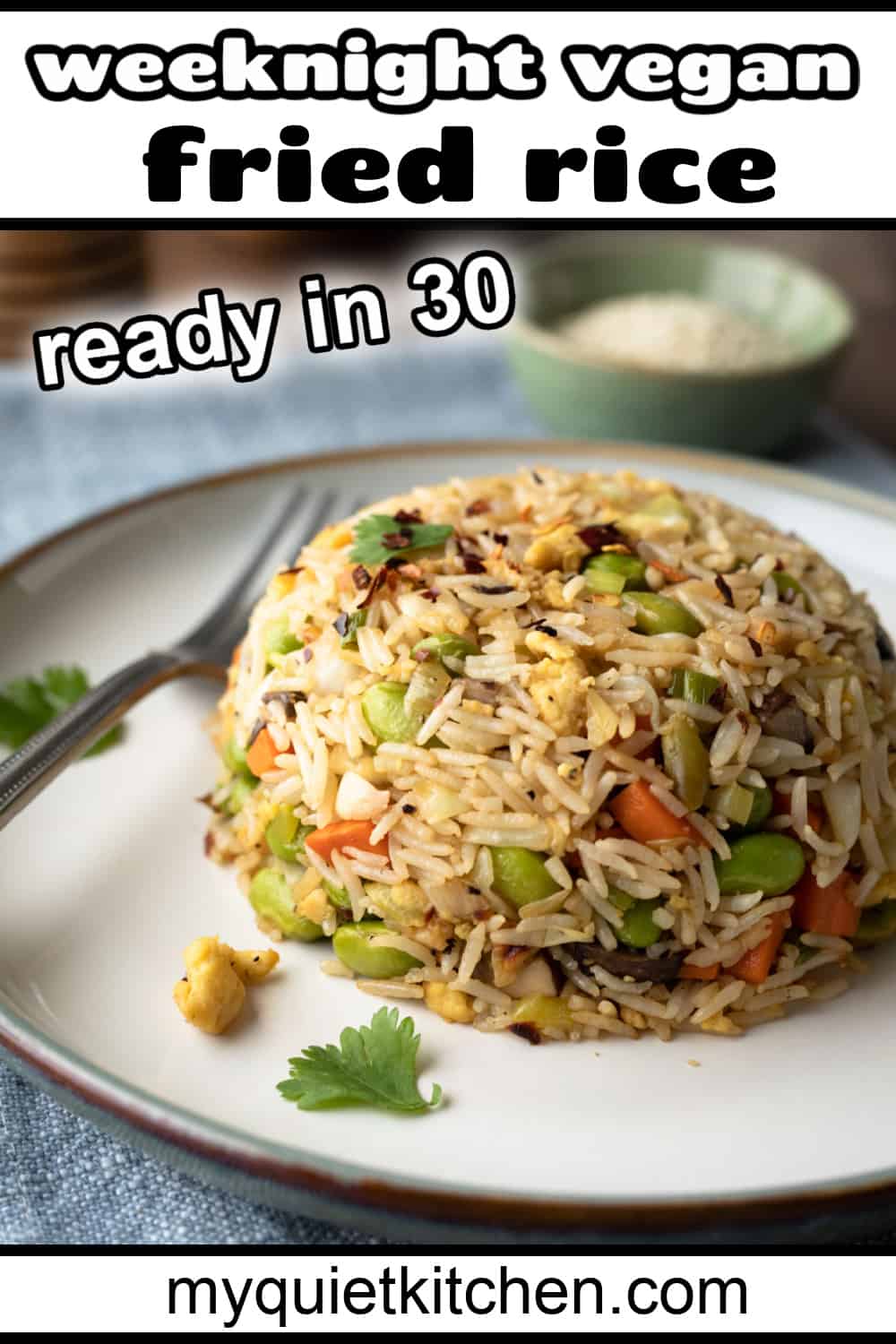 Vegan Fried Rice - My Quiet Kitchen