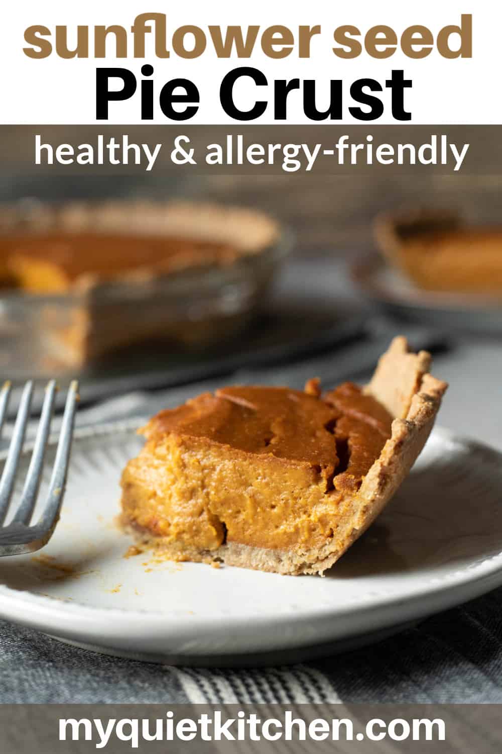 Nut-Free Vegan Pie Crust (Gluten-Free, No Oil) - My Quiet Kitchen