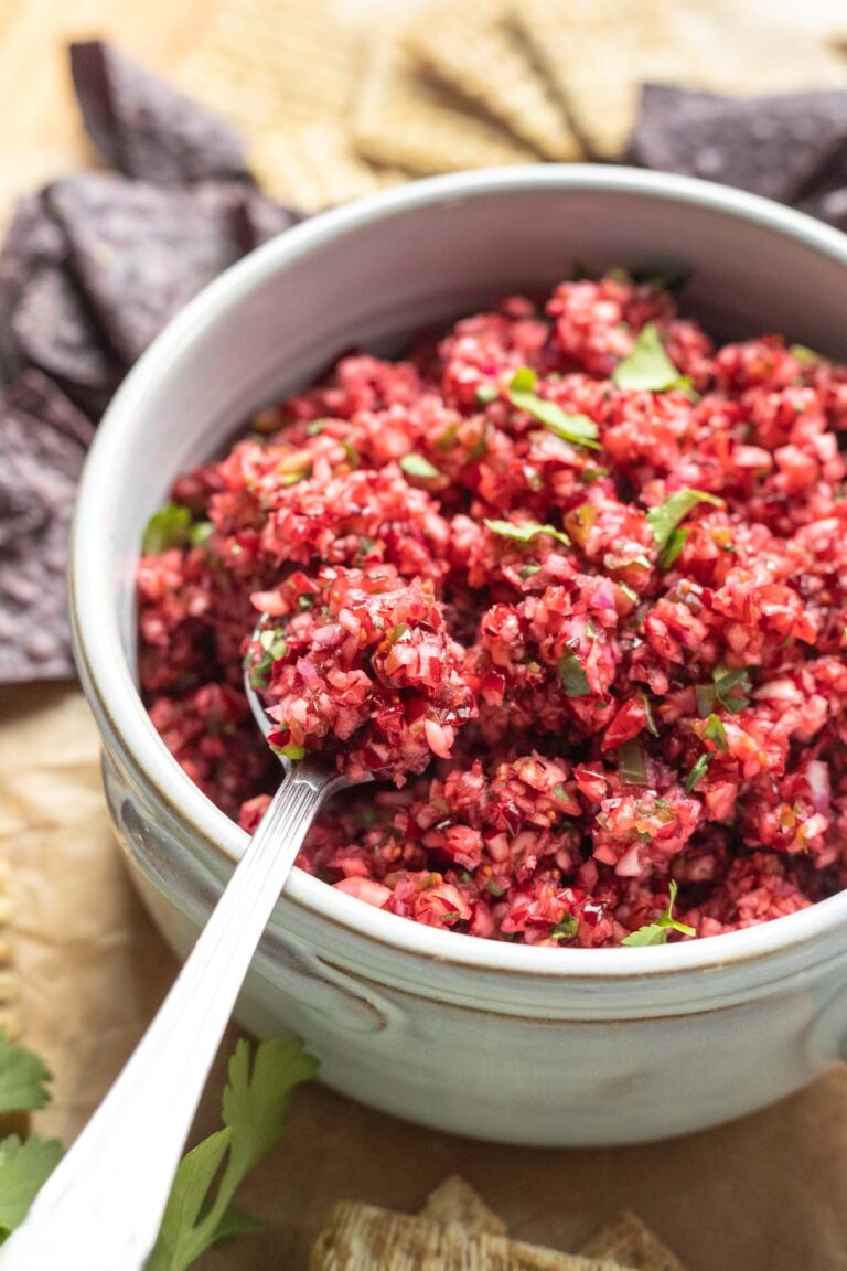 Fresh Cranberry Salsa - My Quiet Kitchen